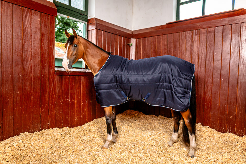 Horse Rugs & Blankets Online – Aloga Equestrian