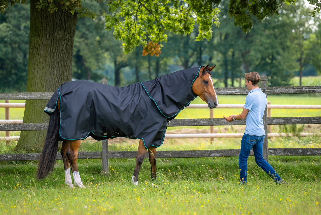ALOGA EQUESTRIAN - HORSE BLANKETS – Aloga Equestrian
