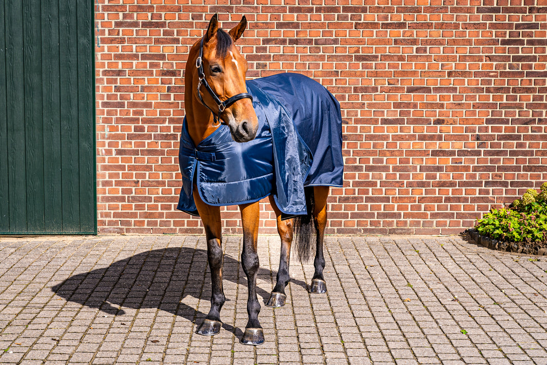 Horse Rugs & Blankets Online – Aloga Equestrian