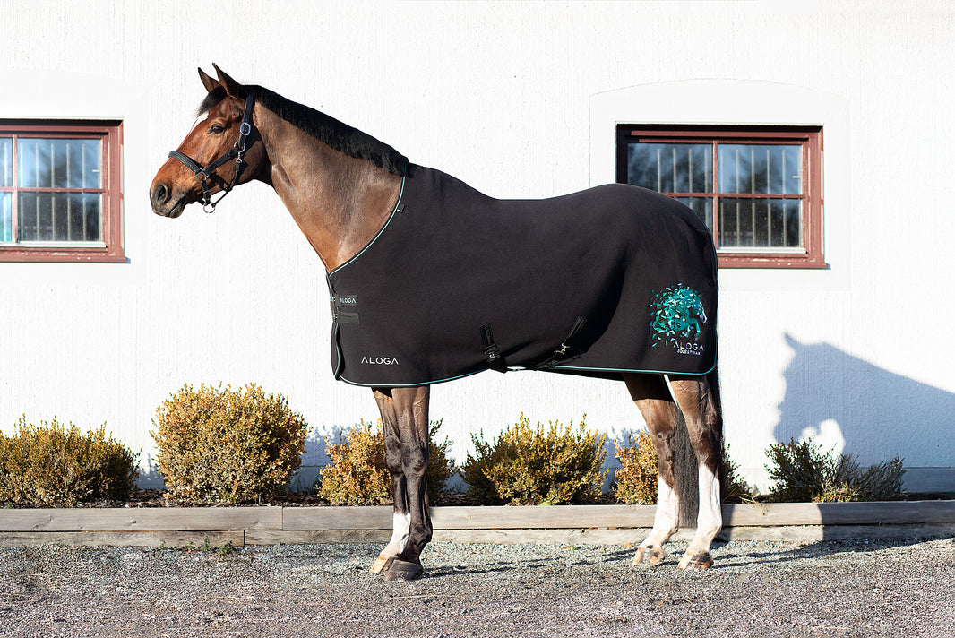 Horse Rugs & Blankets Online – Aloga Equestrian