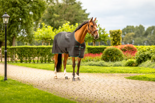 ALOGA EQUESTRIAN - HORSE BLANKETS – Aloga Equestrian